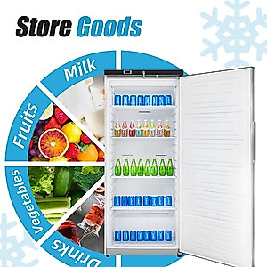 BLUELINETECH 30" Commercial Refrigerator with Single Solid Door, 18.6 cu.ft Stainless Steel Reach-in Refrigerator