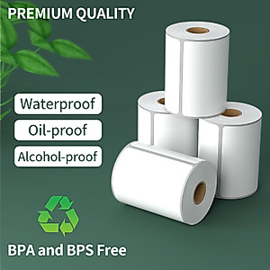 4x6 Direct Thermal Labels 20 Rolls, BESTIKER Thermal Shipping Label Roll of 250 Labels Compatible Zebra 2844 Rollo Thermal Printer 4x6 Label with Perforated Line (1” Core) - Total 5000 Labels