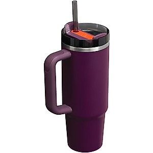 Stanley Quencher H2.0 Tumbler with Handle and Straw 30 oz | Flowstate 3-Position Lid | Cup Holder Compatible for Travel | Insulated Stainless Steel Cup | BPA-Free | Plum