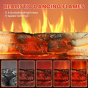 Rintuf Electric Fireplace Logs Set, 1500W Fireplace Insert Log Heater, Overheat Protection, Remote Control, Timer, 5 Flame Brightness/Speed & 4 Flame Sound, 20" Black Fireplace for Living Room Bedroom