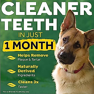 Fresh Breath by TropiClean Brushing Dental & Oral Care Gel for Dogs & Cats, 2oz, Made in USA - Removes Plaque & Tartar