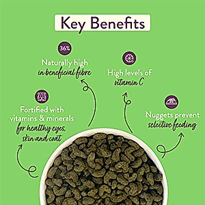 Burgess Excel Nuggets With Mint Guinea Pig Food 10kg