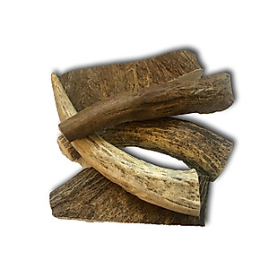 Top Dog Chews Premium Grade A Natural Shed Hard Moose Antler by The Pound. Variety Pack Brand! (1LB)