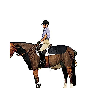 Cashel Quiet Ride Horse Bug Armor Bundle Set