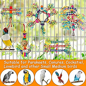 Bird Toys, 5PCS Colorful Bird Shredding Toys Hanging Parakeet Chew Toys, Bird Foraging Toys for Small Medium Parrots, Conures, Cockatiel, Lovebird Cockatiel, and Cage Accessory