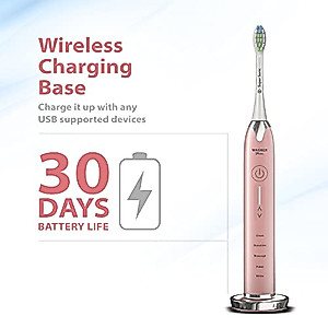 Wagner & Stern Ultrasonic whitening Toothbrush with Pressure Sensor. 5 Brushing Modes and 4 Intensity Levels with 3D Sliding Control, 8 Dupont Bristles, Premium Travel Case.