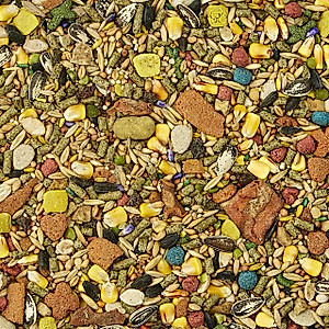 Kaytee Fiesta Hamster And Gerbil Food, 2.5-Lb Bag