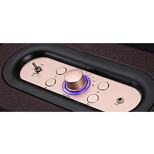 TEWELL Vintage Bluetooth Speakers with Bass Enhanced Technology, Wireless & 3.5mm Aux Input for Cellphone, AC Powered (Upgraded Version)