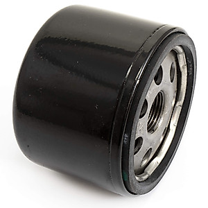 CRAFTSMAN CMXGZAM201009 Current B&S 492392s Oil Filter, Black