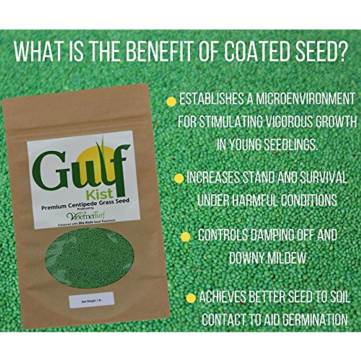 Centipede Grass Seed for a Dense Green Lawn, NO Mulch, 1 lb Coated Seeds, Sun and Moderate Shade Tolerant Lawn Seeding and Turf Patch Repair, Southern Southeast US, Low Fertilizer Low Maintenance