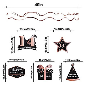 LINGTEER Happy 14th Birthday Rose Gold Swirls Streamers - Cheers to 14th Birthday Fourteen Years Old Bday Party Hanging Decorations.