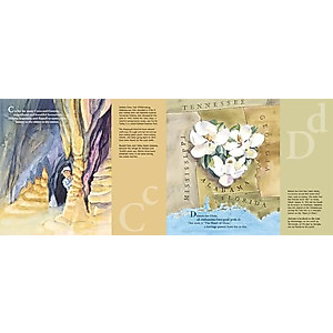 Y is for Yellowhammer: An Alabama Alphabet (Discover America State by State)