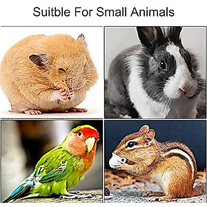 Bird Feeding Dish Cups, Parrot Food Bowl Clamp Holder Stainless Steel Coop Cup Bird Cage Water Bowl 2 Pack Bird Perch Platform Stand