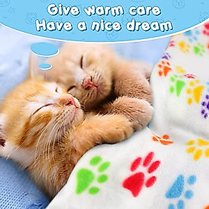 20 Pieces Puppy Blanket Pet Blanket Soft Fleece Dog Blankets Doggie Blanket Warm Felt Throw Blanket Sleep Mat Bed Covers Small Blankets for Puppy Pet Dogs Cat, 20 Styles (23.6 x 27.6 Inch)
