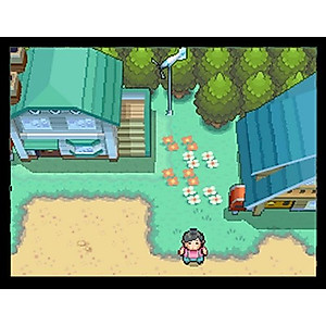 Pokemon HeartGold Version