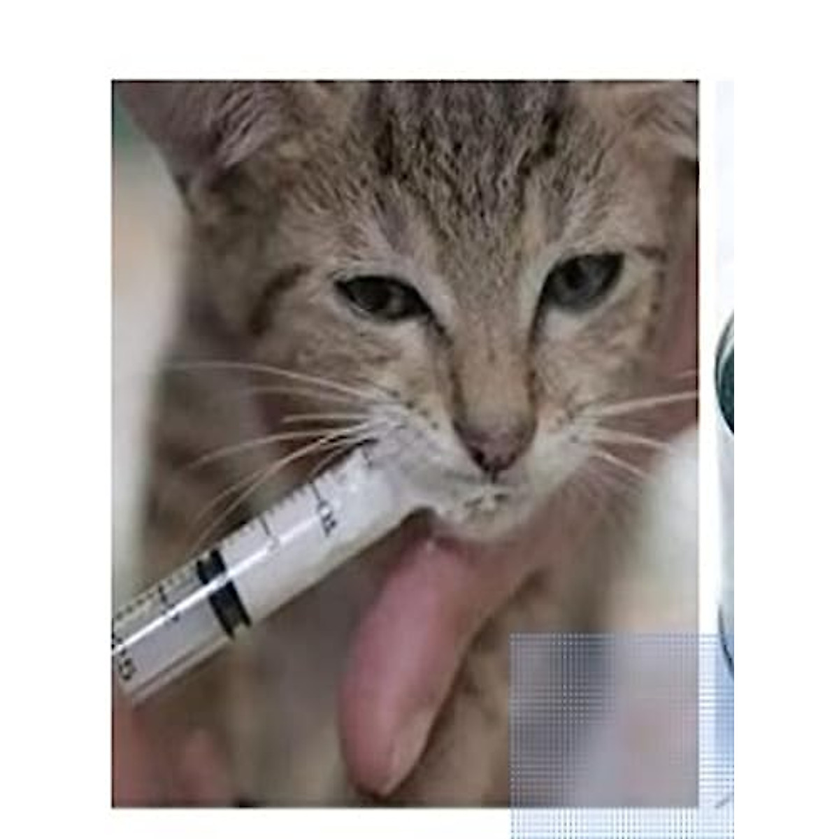 Med Chalet EXELint Disposable Syringe, Sterile Single Pack, 50 ml to 60 ml Medical Grade Catheter Tip, J1