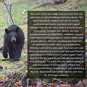 Black Forest Décor Antler & Wood Mirror