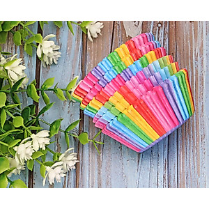 Mini Skater 100Pcs Standard Size Paper Baking Cups Rainbow Cupcake Liners for Wedding Birthday Party Muffins Cupcakes Cake Balls and Candies (Colorful)