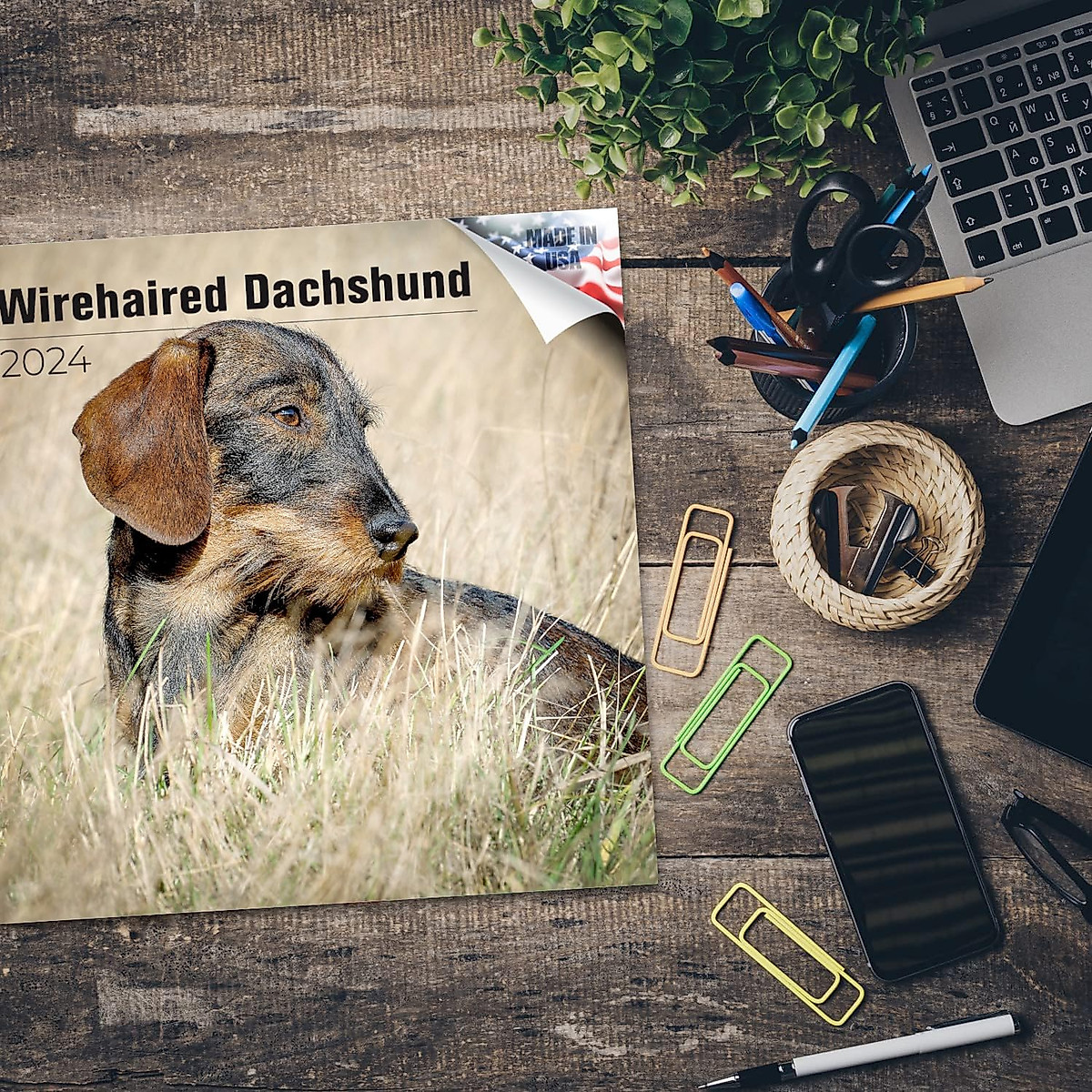 2023 2024 Wirehaired Dachshund Calendar - Dog Breed Monthly Wall Calendar - 12 x 24 Open - Thick No-Bleed Paper - Giftable - Academic Teacher's Planner Calendar Organizing & Planning - Made in USA