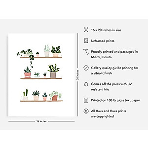 HAUS AND HUES Plant Pictures Wall Art - Succulent Art Wall Decor, Plant Prints Wall Art & Botanical Plant Wall Art Prints, Cactus Poster Botanical Flower pots on Shelves (Unframed, 16x20)