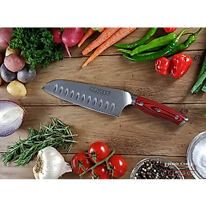 Ergo Chef Crimson Series 7" Santoku Japanese Chef Knife Forged High Carbon X50CrMoV15 German Stainless Steel - Hollow Ground Blade - G10 Handle