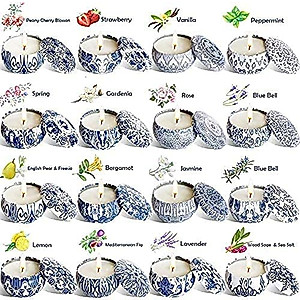 JHENG Scented Candles Gifts Set 16 Pack Soy Wax Travel Tin Jar Candles for Home 2.5 OZ Aromatherapy Candles for Mom for Christmas, Birthday, Thanksgiving, Mother's Day