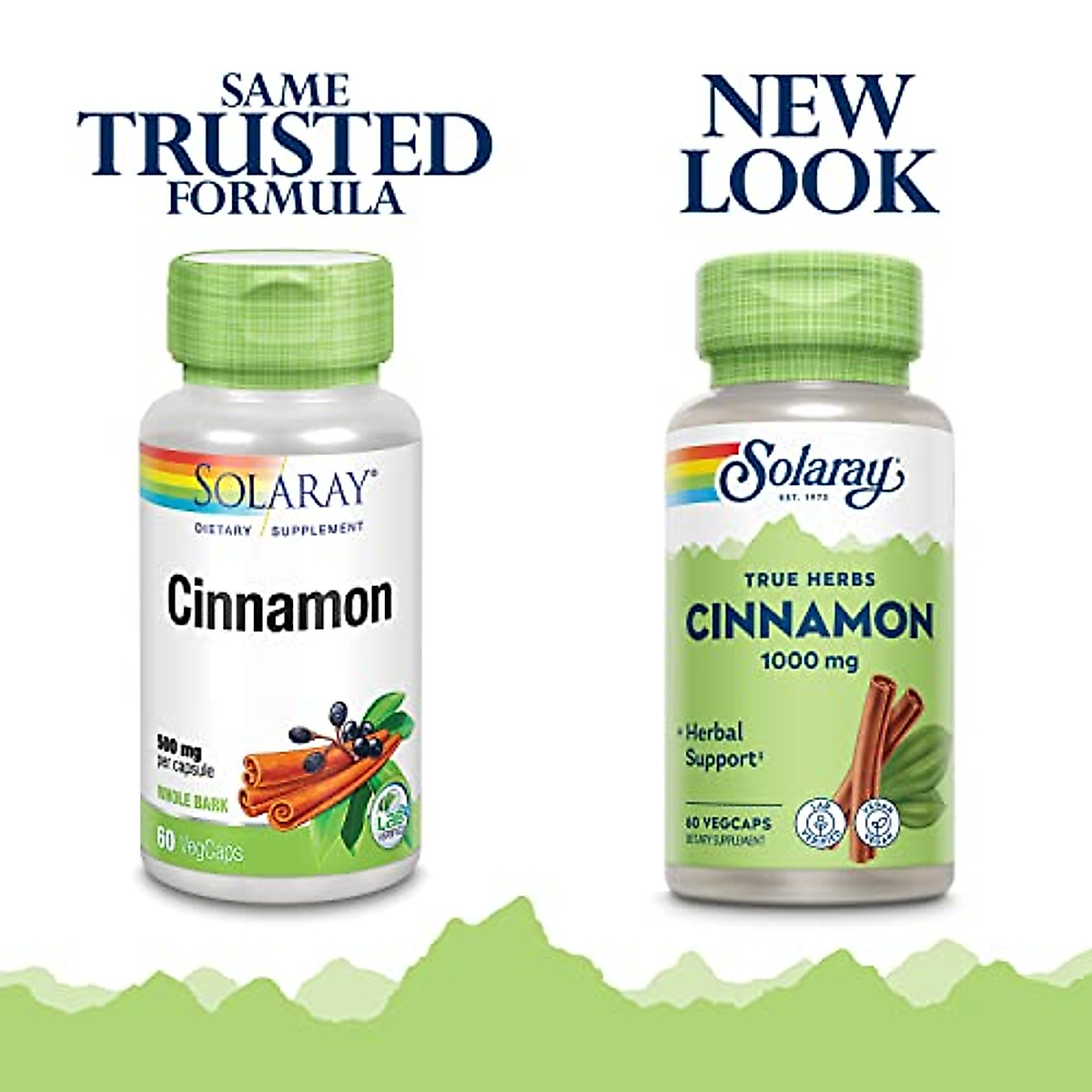 SOLARAY Cinnamon Bark 1000 mg | Healthy Digestive Function | Antioxidant | 60 VegCaps