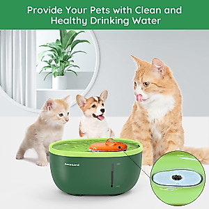 Awpland Cat Water Fountain Filters Set, 3 Pairs Replacement Filters and Water Pump Filter Cotton, Avocado Fountain with Quadruple Filteration System for Pet Drinking Health, Value Pack