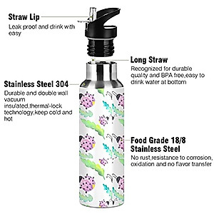 xigua Ladybug Water Bottle Double Walled Stainless Steel Leak Proof Thermo Flask for Sports Gym Cycling Outdoor,20 oz.