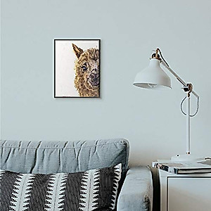 Stupell Industries Baby Llama Head Watercolor Painting Black Framed Wall Art, 11 x 14, Multi-Color