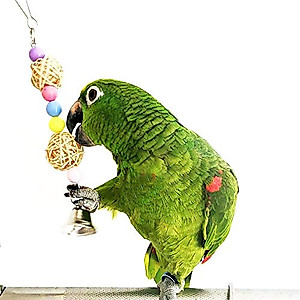 5 Pcs Bird Parrot Swing Toys - Hanging Bell Pet Bird Cage Hammock Climbing Ladder Bird Cage Toys for Budgerigar, Parakeet, Conure, Cockatiel, Mynah, Love Birds, Finches and Other Small to Medium Birds