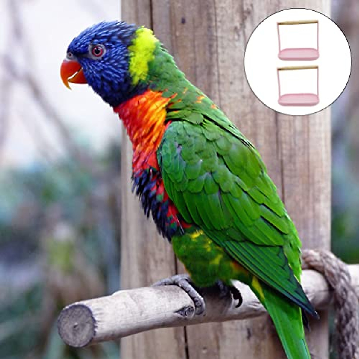 POPETPOP Rabbit Toys Rabbit Toys Teething Toys Bird Stand Desk Perch : 2Pcs Parrot Stand Bird Playground Wood Bird Plaything Bird Balance Train Tool Rabbit Toys Teething Toys Bunny Toys