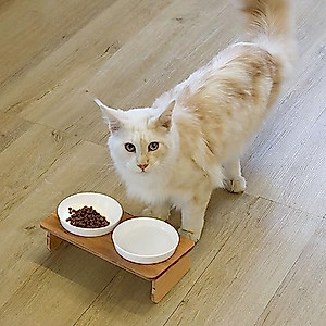 MSBC Raised Cat Bowl with Bamboo Stand, Elevated Pet Feeder with 2 Melamine Bowls, Tilted Food and Water Cat Feeding Dish, Protect Pet's Spine, Whisker Stress Free Anti Vomiting, White