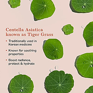 Erborian Color Correcting CC Cream with Centella Asiatica, Fair (Clair) - Light Multi-Purpose Facial Concealer with Illuminating Finish Soothes & Hydrates - SPF Korean Skincare Skin Perfector - 1.5 Oz