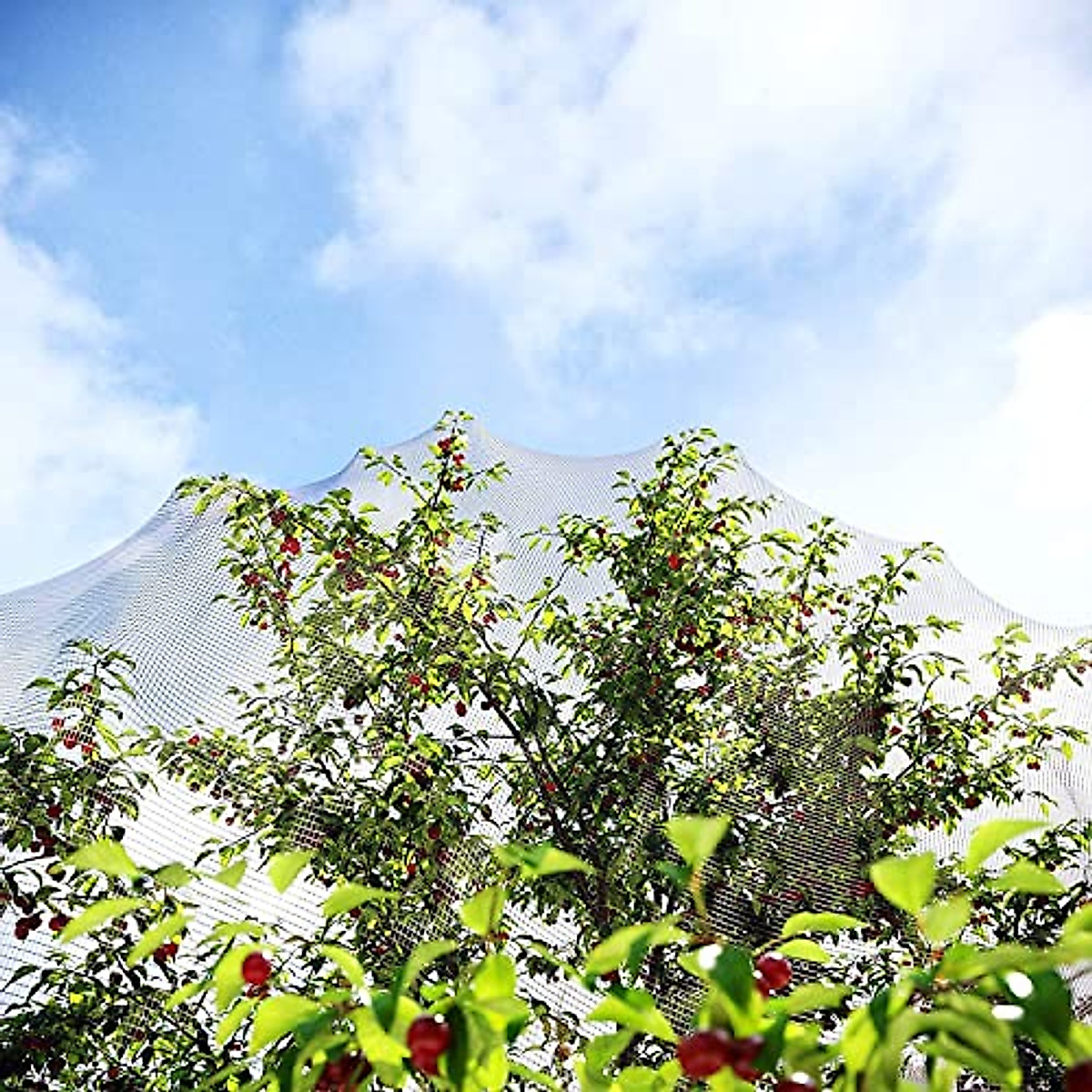 De-Bird Garden Fencing 7.5 x 65 ft Heavy Duty Bird Netting for Garden Protection Plastic Fence - Deer Fence Garden Netting Pest Barrier, Rabbit Fence, Flower Bed Fencing, Garden Fence Animal Barrier