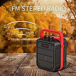 Shinco Bluetooth Speaker with Microphone, Portable Karaoke Machine with Remote Control, Audio Recording, FM Radio, Perfect for Kids