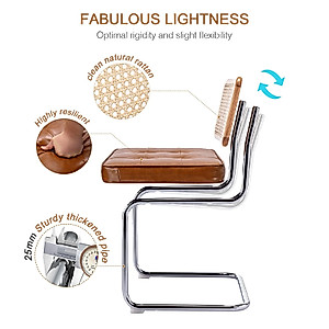 Zesthouse Natural Rattan Dining Chairs Set of 2, Modern Dining Room Chairs with Solid Wood Back for Kitchen Living Room, Mid Century Breuer Design Inspired, Upholstered Faux Leather Brown