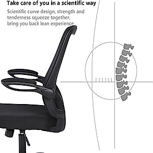 Mesh Office Chair Ergonomic Office Chair with Arm flip up and Back Support Office Chair, Adjustable Height Executive Office Chair for Computer Desk Home Office Chair Black