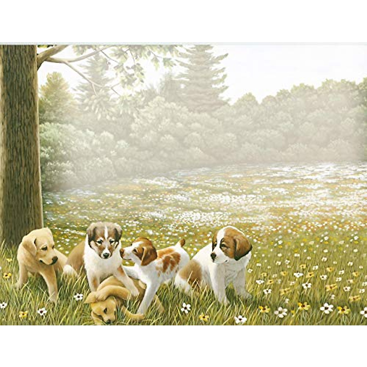 All About You Personalized Name Meaning Keepsake Print Gifts Signs Wall Art Decoration