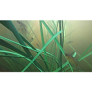 Honey Hole Grass Artificial Fish Habitat