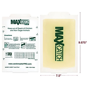 Stuff-fit Copper Mesh for Pest Control + Catchmaster Pest Glue Traps (36 Count)