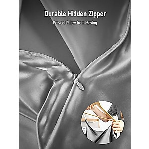 Lacette Silk Pillowcase for Hair and Skin 2 Pack, 22Momme 100% Mulberry Silk & Natural Wood Pulp Fiber Grade 6A Dual-Sided Silk Pillow Cases, Silk Pillow Cover with Zipper (Standard20 x26,Space Gray)