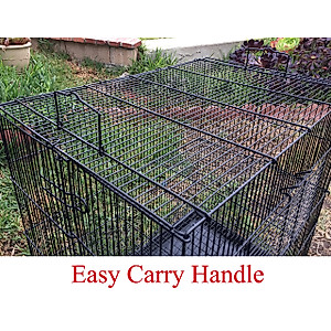 Large 30" Lx18 Wx24 H First Home Multi-Level Habitat Rat Mouse Guinea Pig Chew Free Metal Cage for Exotics Small Animal Critters