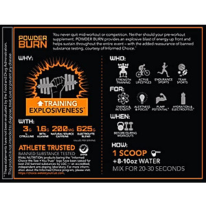 Rivalus, Powder Burn 2.0 Punch 30 Serving, Knockout Punch, 10.1 Ounce