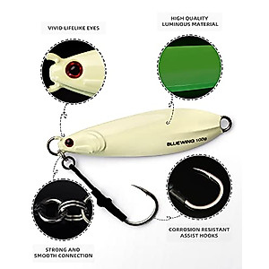 BLUEWING Fishing Lures Saltwater Jigging Lures Vertical Jigs for Saltwater Fish Slow Fall Pitch Sinking Lead Fishing Bait with Hook 150g White