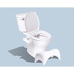 TUSHY Classic 3.0 Bidet Toilet Seat Attachment - A Non-Electric Self Cleaning Water Sprayer with Adjustable Water Pressure Nozzle, Angle Control (Classic 3.0, White/Platinum + Relaxed Ottoman)