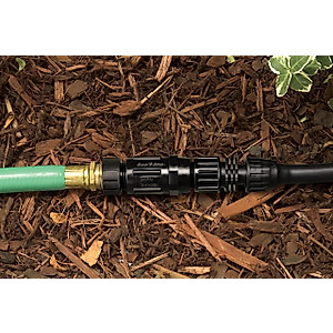 Rain Bird HT07525PSI Drip Irrigation 25 PSI Pressure Regulator, 3/4" Female Hose Thread x 3/4" Male Hose Thread