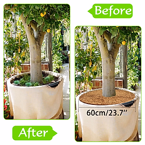 ZeeDix 6 Pcs Coconut Fibers Mulch Ring Tree Protector Mat, 24 Inch Coco Coir Tree Protection, Tree Ring Mats Tree Disc Plant Cover for Indoor or Outdoor