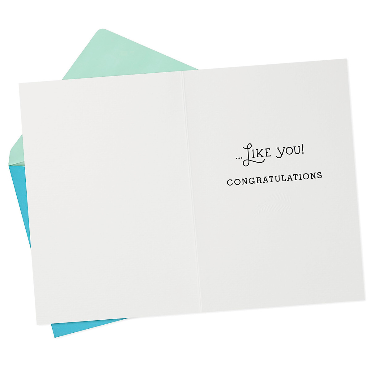 Hallmark Congratulations Card or Graduation Card (Fern Pattern)