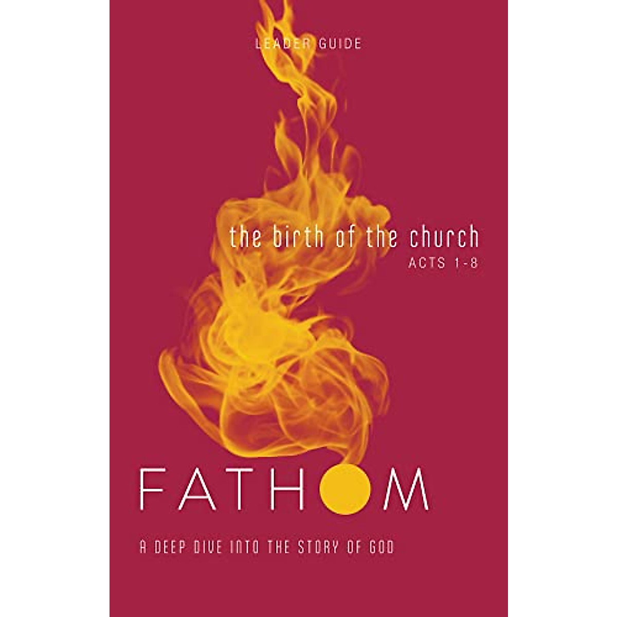 Fathom Bible Studies: The Birth of the Church Leader Guide (Luke 24-Acts 8): A Deep Dive Into the Story of God